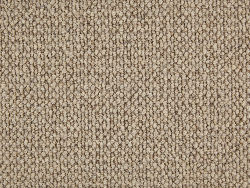 KINGSCROSS | 316 Colobium